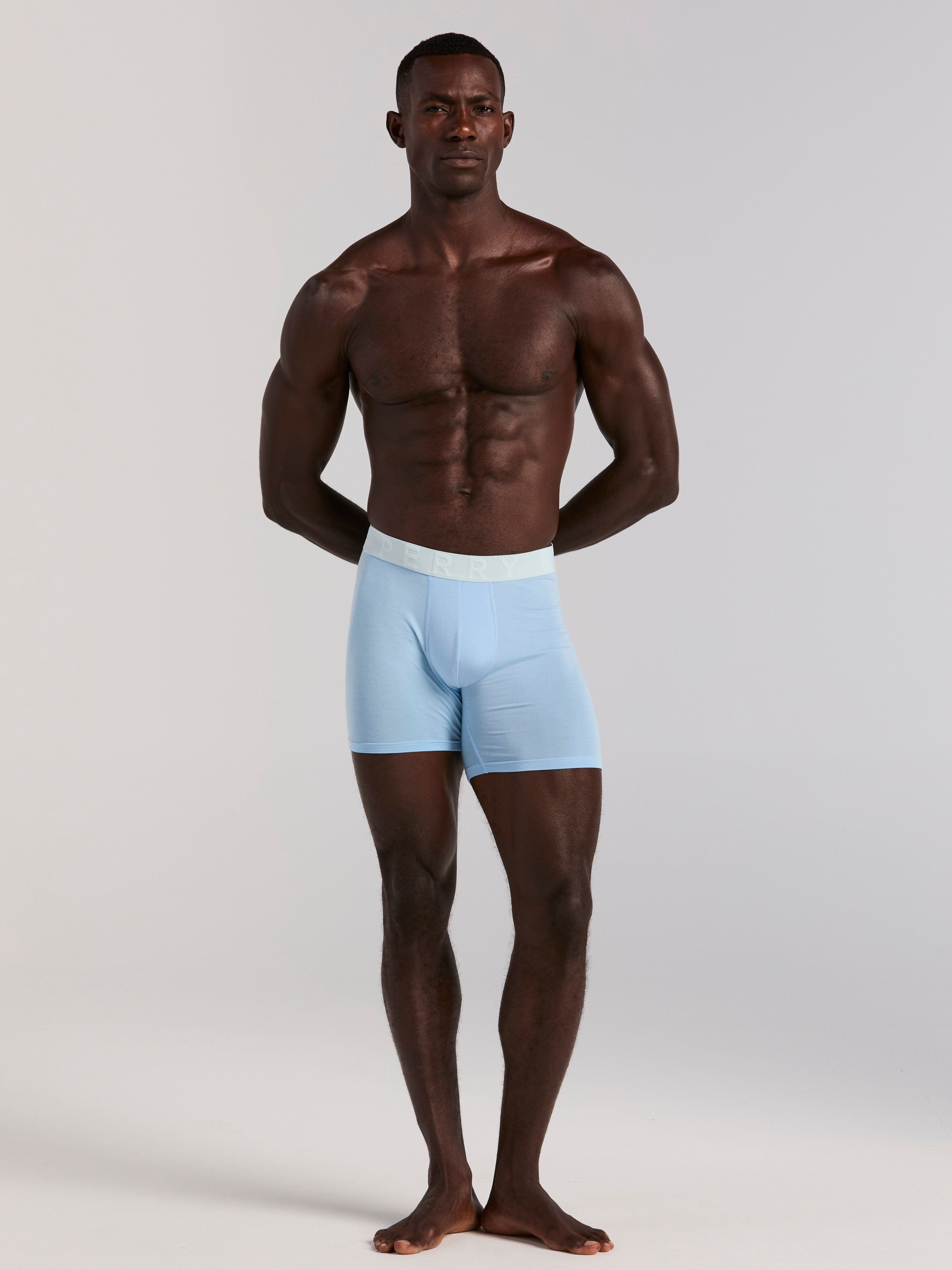 4-Pack Viscose Stretch Classic Boxer Brief – Perry Ellis